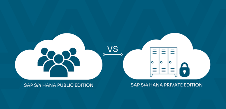 SAP S4 HANA Public Vs. Private Cloud: Which One Is Right For You?